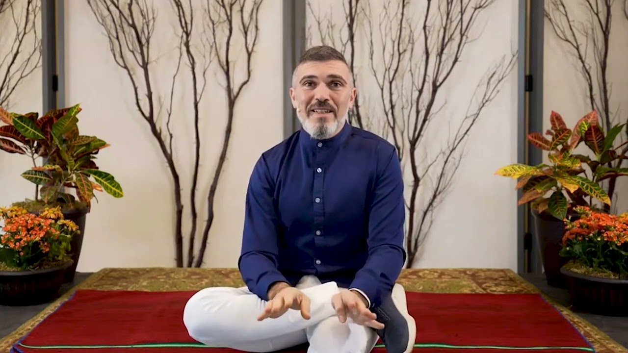 Our brand-new Evolution One website has launched… - Asil Toksal